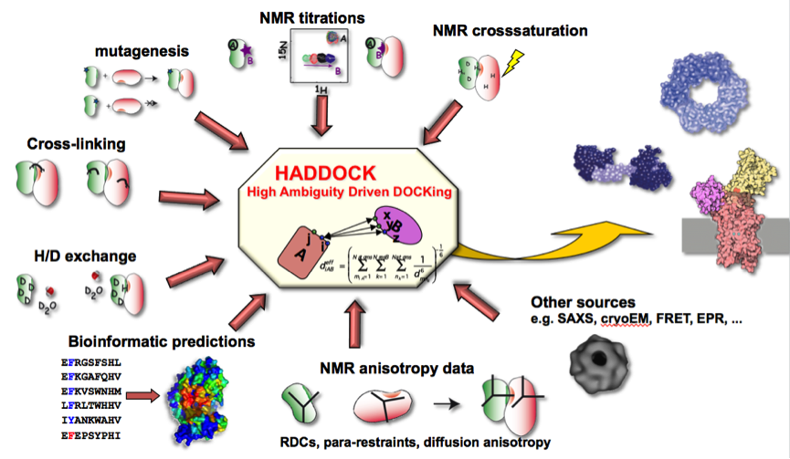 HADDOCK – BioExcel – Centre of Excellence for Computation Biomolecular Research