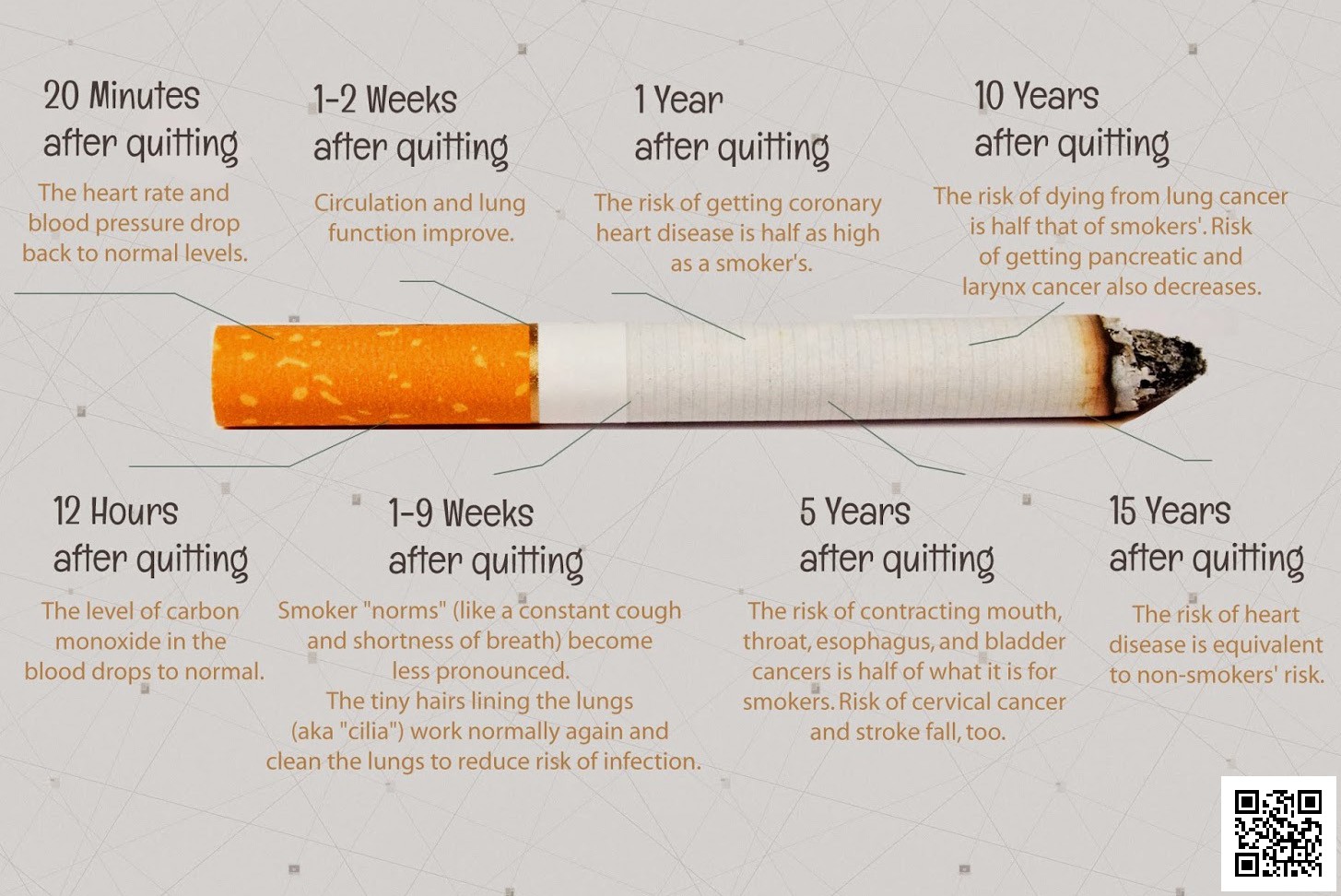 Here Is What Happens The Moment You Stop Smoking Dialect Zone here-is-what-happens-the-moment-you-stop-smoking-dialect-zone