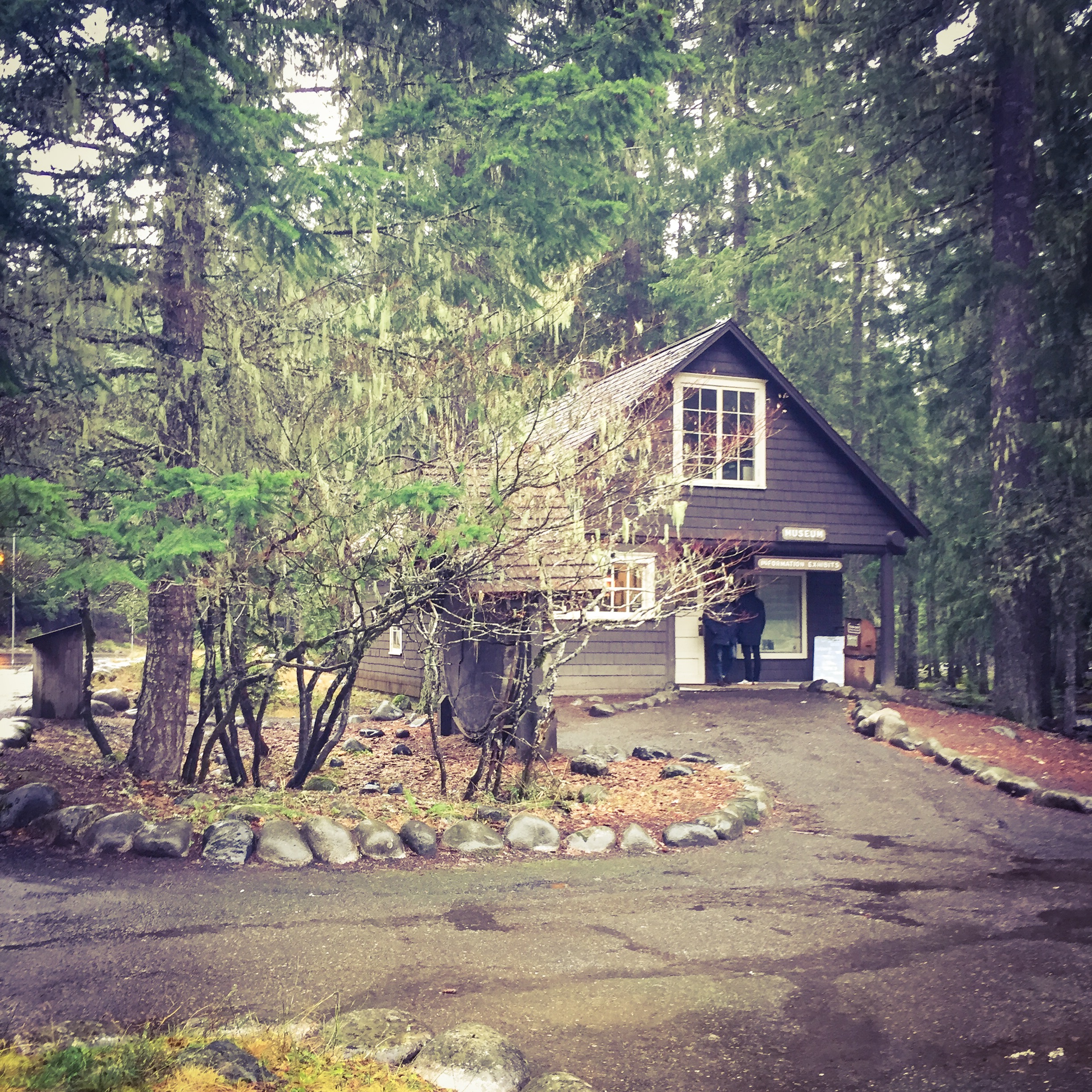 Vicious Weasil at the Museum at Longmire, Mt. Rainier | Get Going