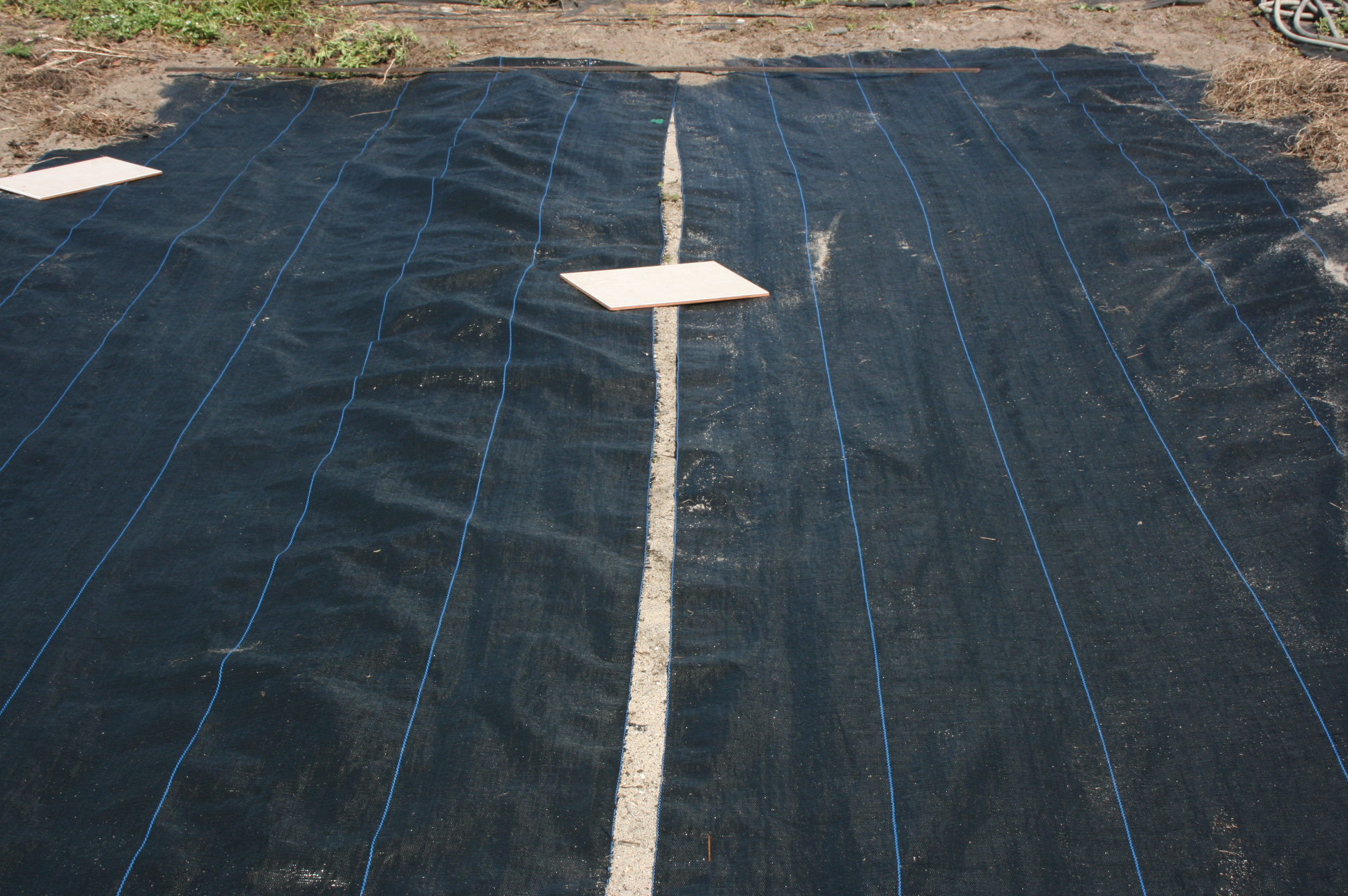 What are Cover Crops for the Home Gardener and How Do They Work?