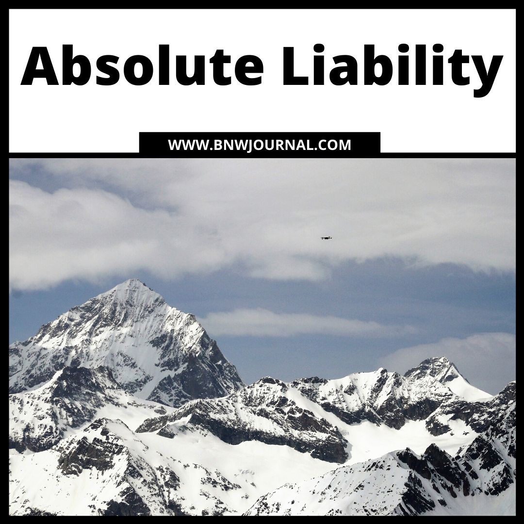 Absolute Liability - Black n' White Journal - The Legal Journal