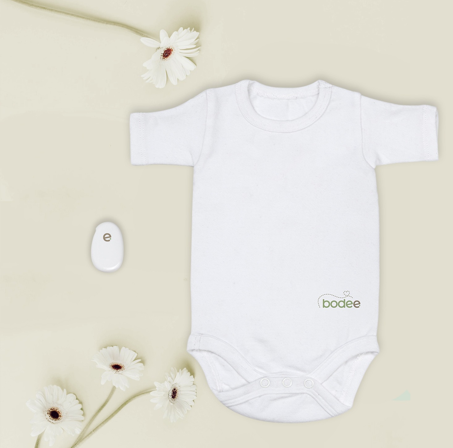 Termometro Bodee - Bodee