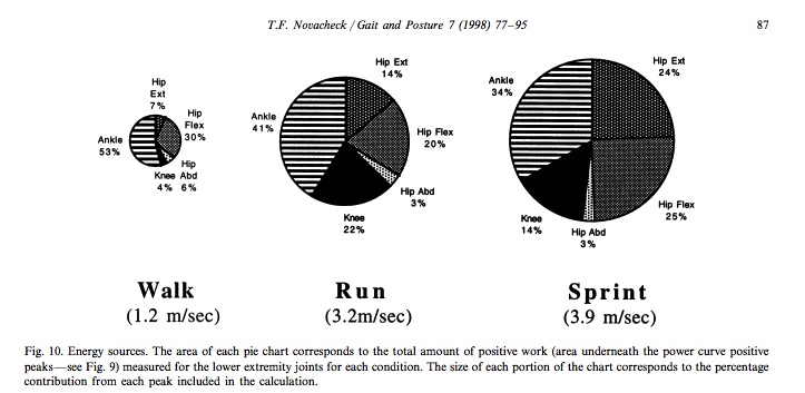 5 Strength Training Considerations for Runners - BONVEC STRENGTH