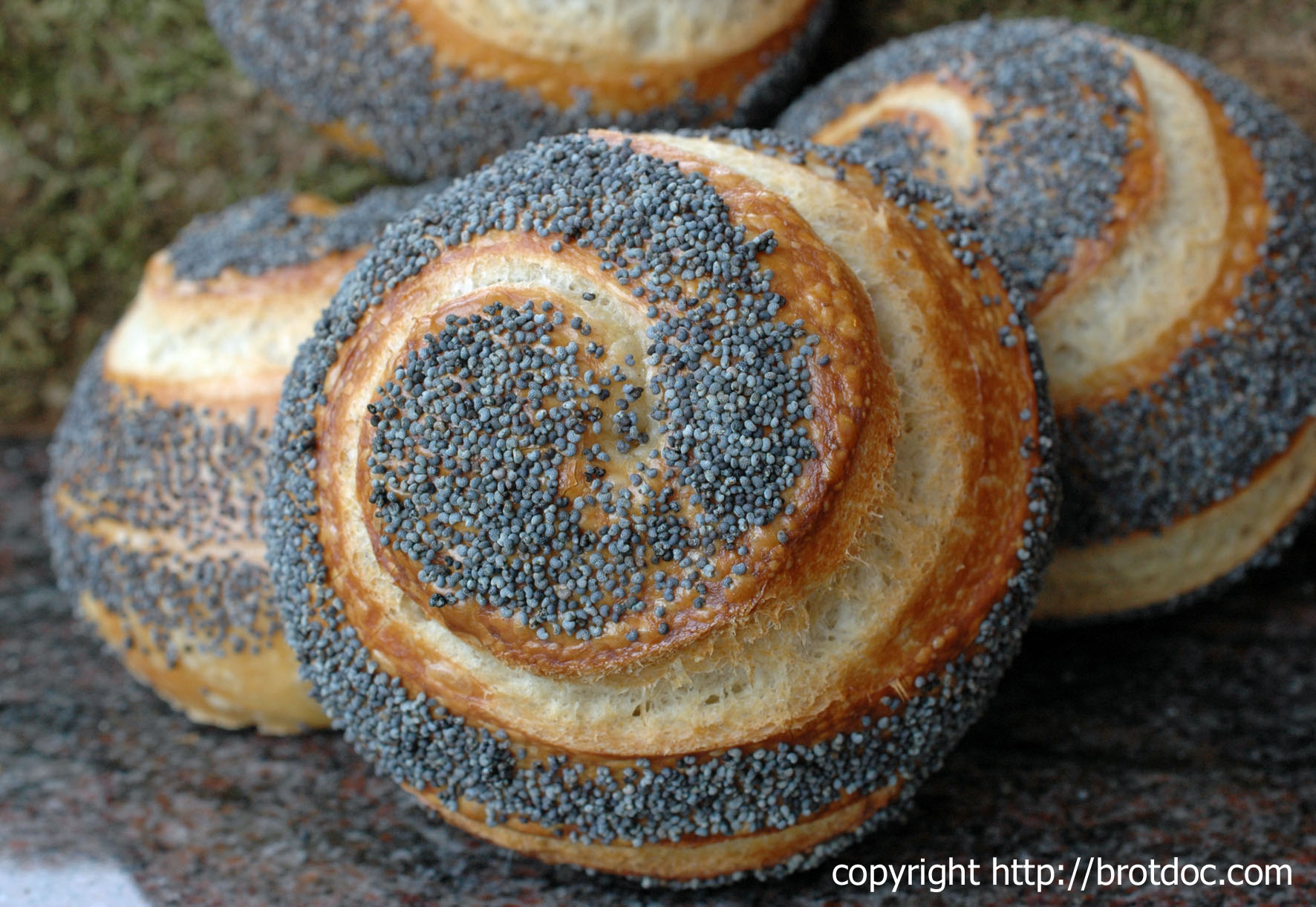 Mohnbrötchen – Poppy Seed Rolls | der brotdoc