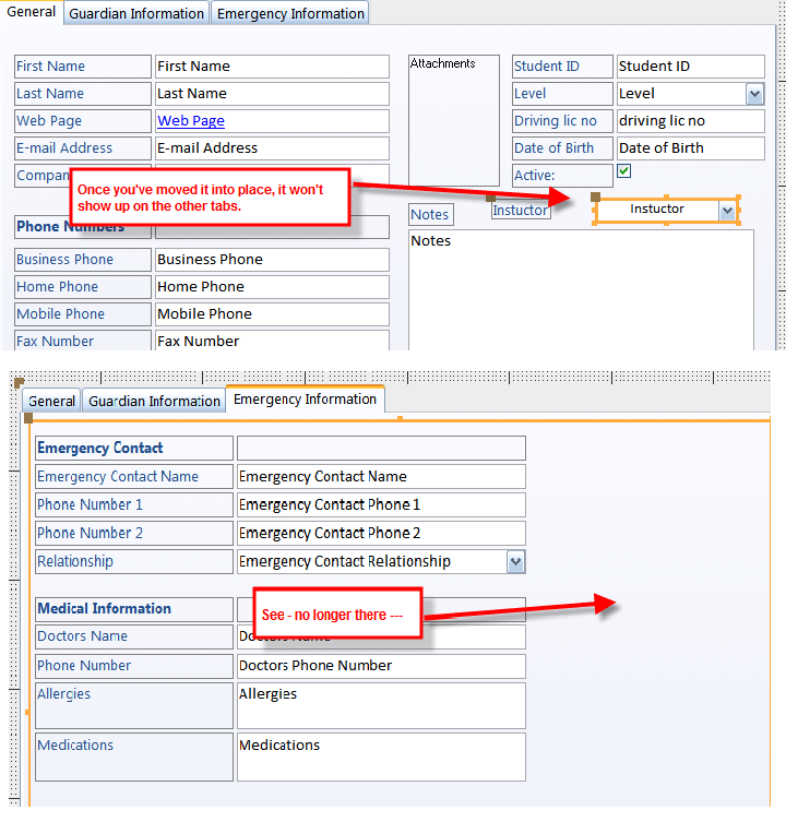How to put controls on the tab control | BTAB Development