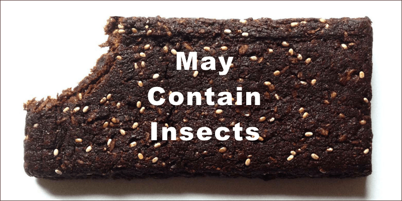 The Future of Sports Nutrition May Contain Insects – Bugible