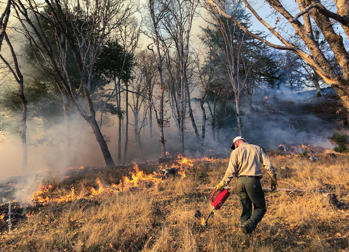 Wildfire Solutions for Agriculture, Part 1: Controlled Burns - CalCAN ...