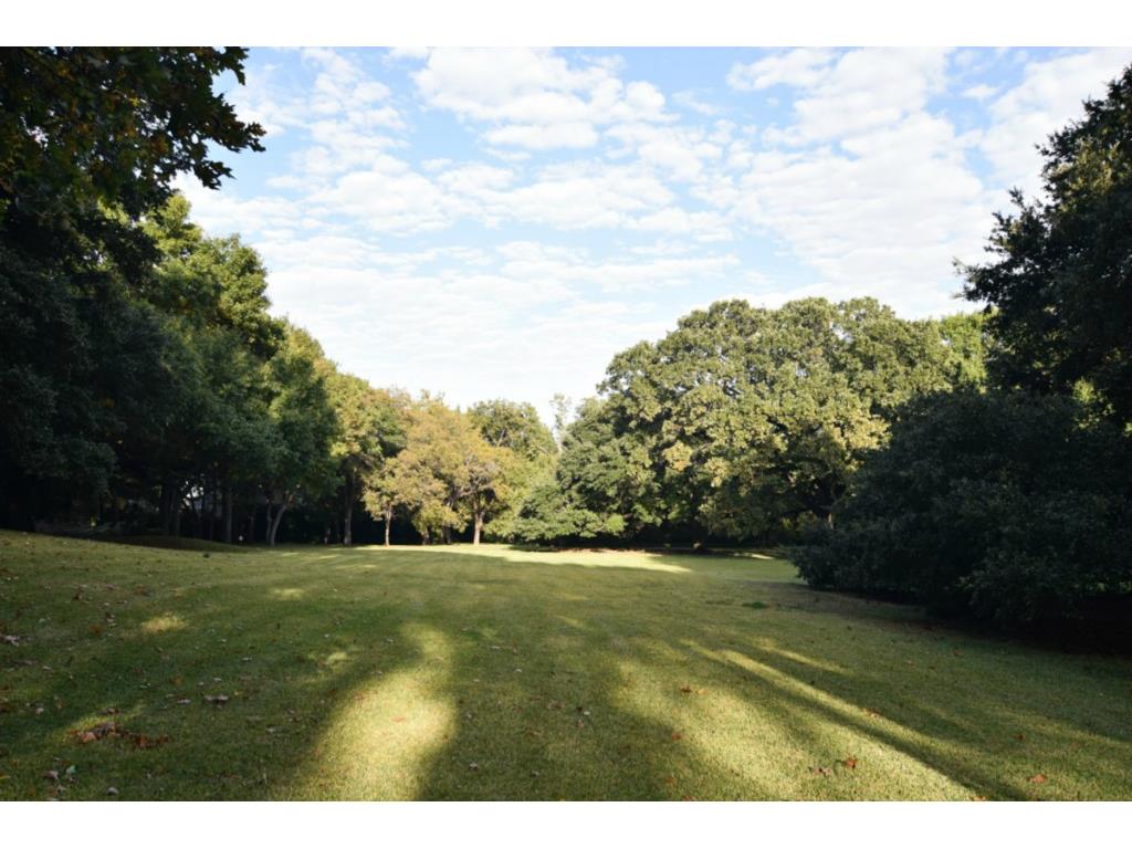 HB 7 Prioritizes Valuable Trees Over Costly Fees - CandysDirt.com