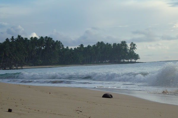 About | cagwait island