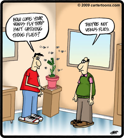 Download Funny Animal Cartoons | Cartertoons