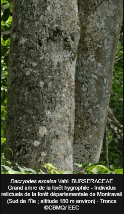 III. ESPACES NATURELS D'INTERET PATRIMONIAL | Conservatoire Botanique ...
