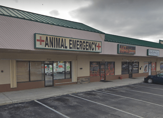 8+ Hernando Animal Hospital Spring Hill Florida Article