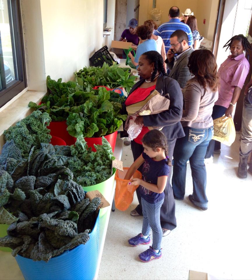 KCC Urban Farm Produce Distributions - CEWD