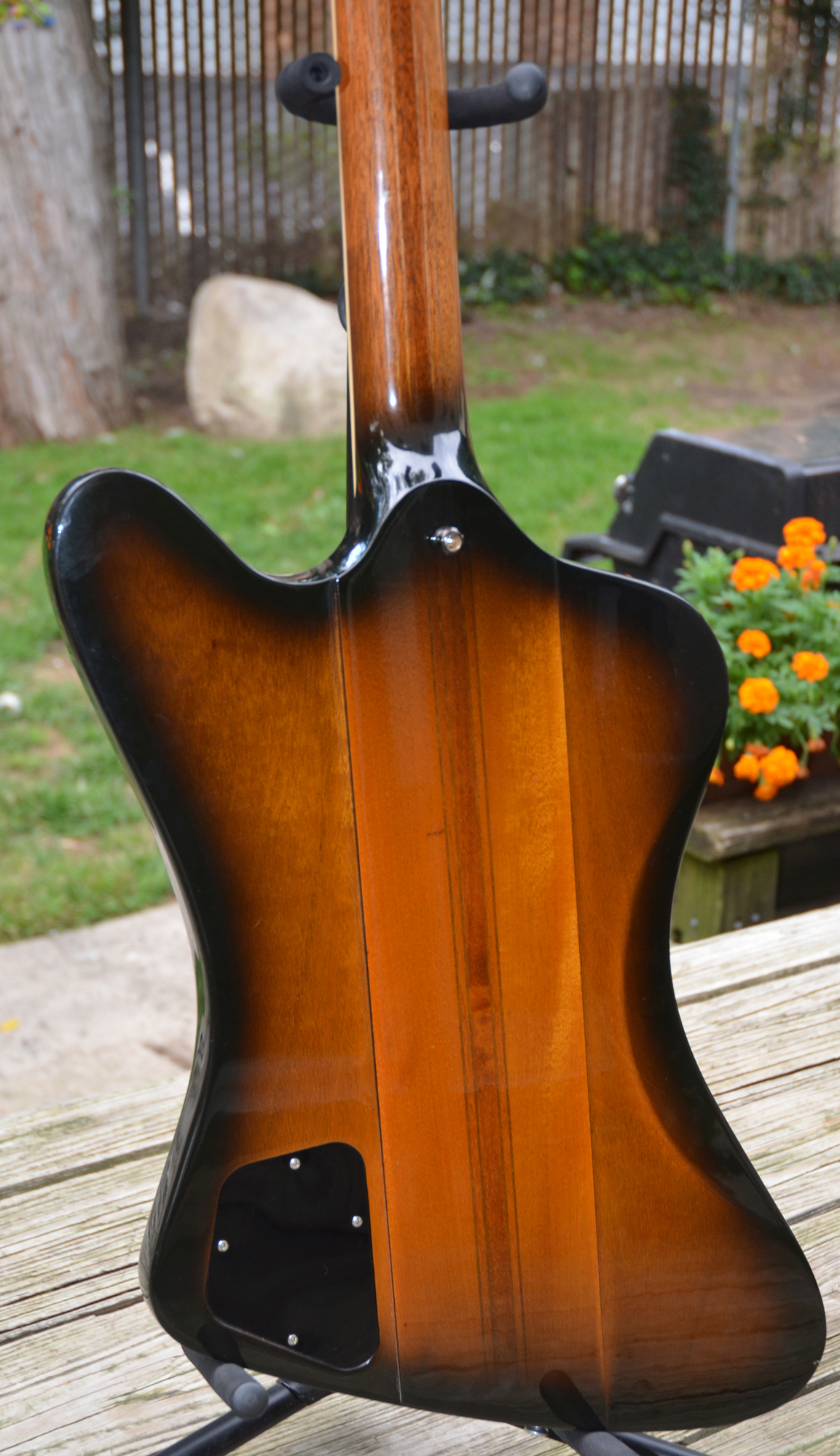 Gibson Firebird V | ChasingGuitars