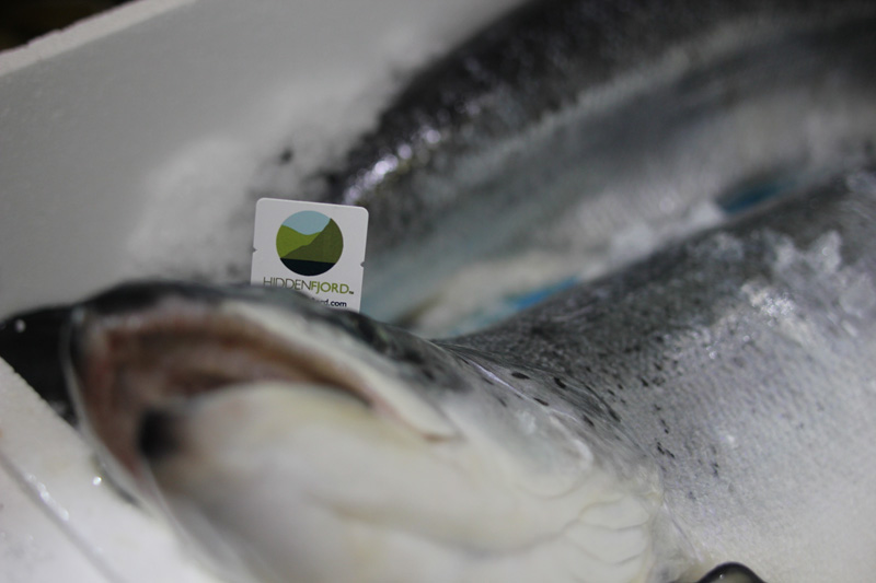 Inside the hidden world of a fish distributor - Chicago Reader