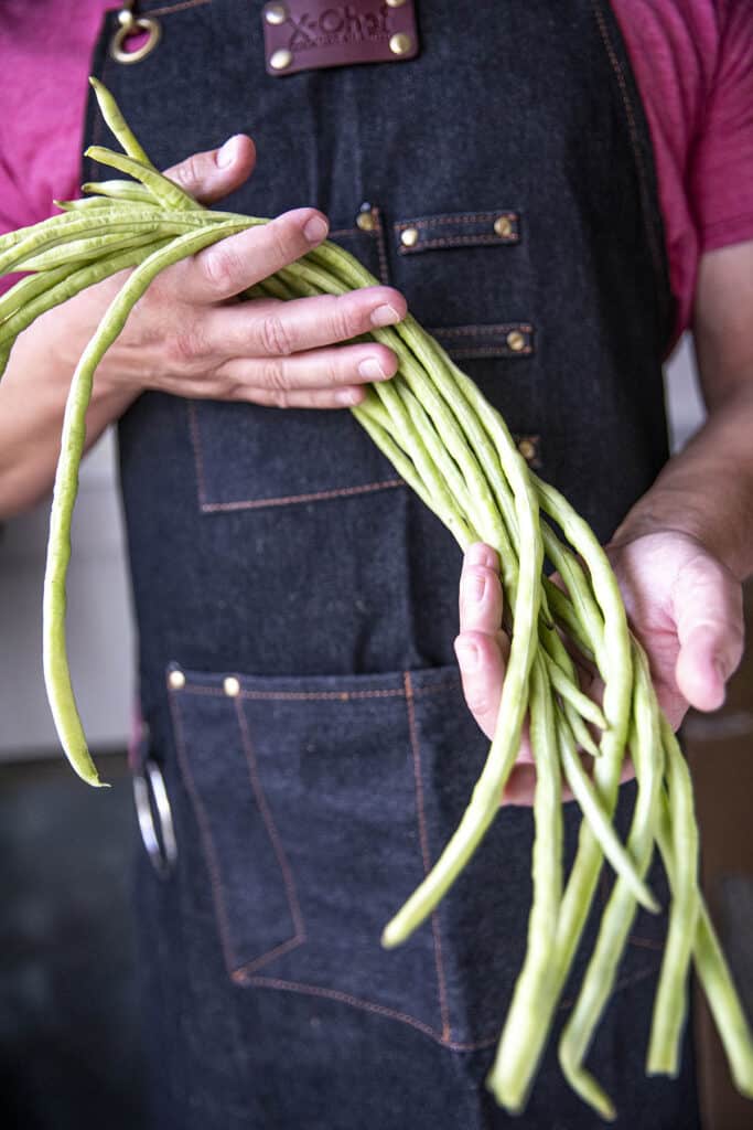 Sichuan Dry-Fried Green Beans (Ganbian Sijidou) - Chili Pepper Madness