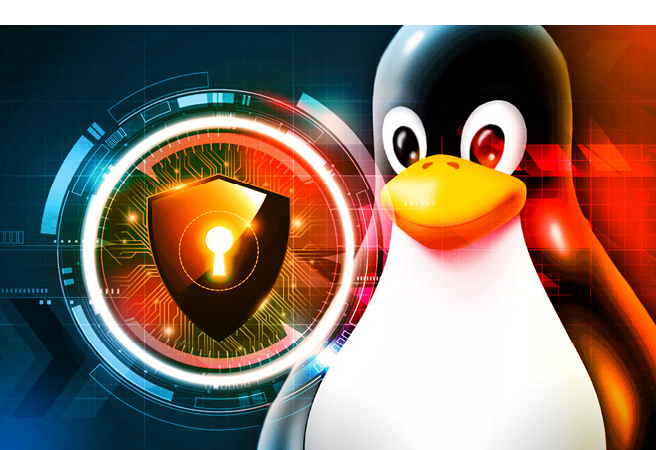 The Future of Linux Security: Securing Linux-Based Systems in 4 Steps ...