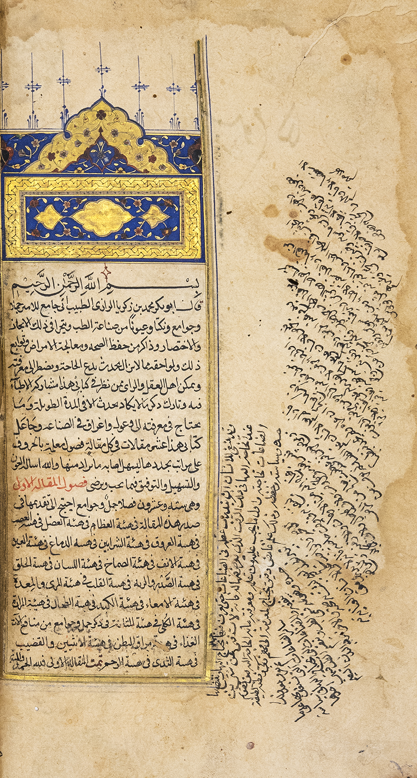 A Mughal Era Manuscript Curiously Illustrated – Circulating Now from NLM