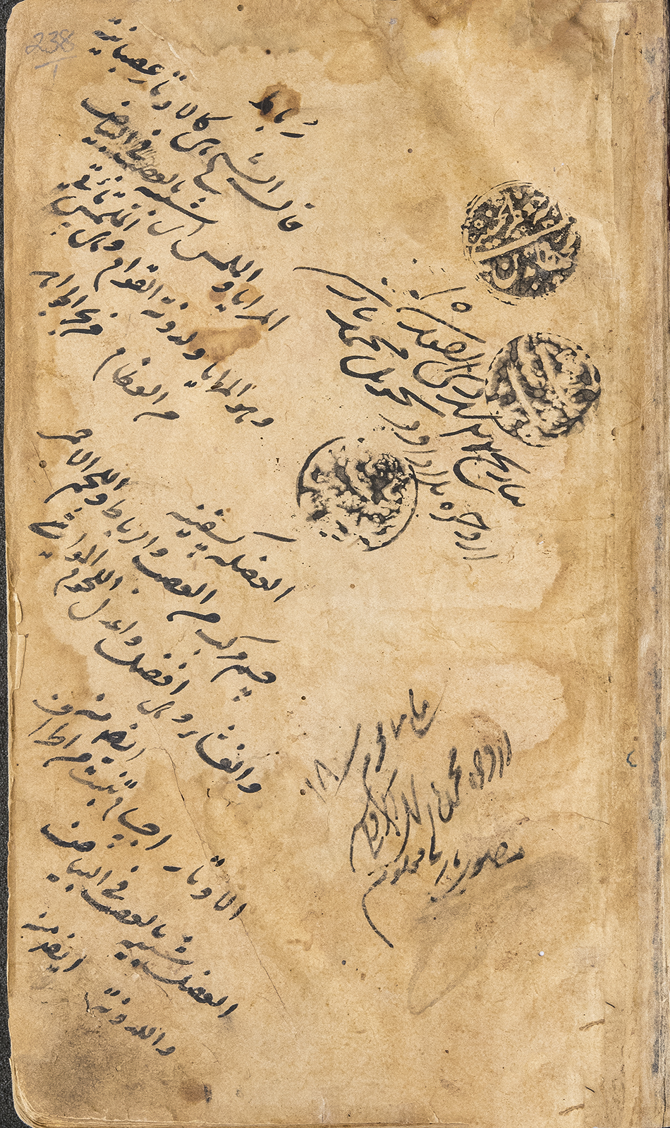 A Mughal Era Manuscript Curiously Illustrated – Circulating Now from NLM