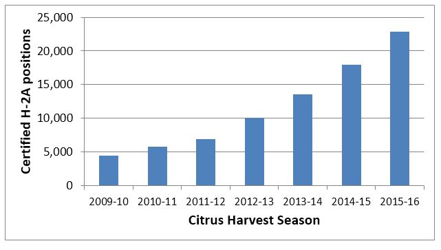 Navigating the H-2A Program - Citrus Industry Magazine