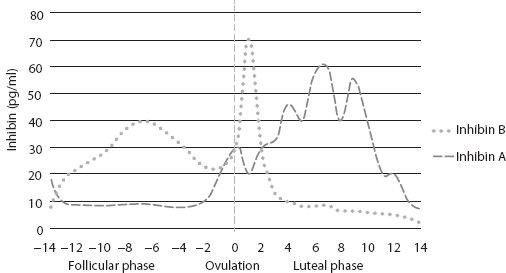 Physiology of the Menstrual Cycle: Understanding the Principles of ...
