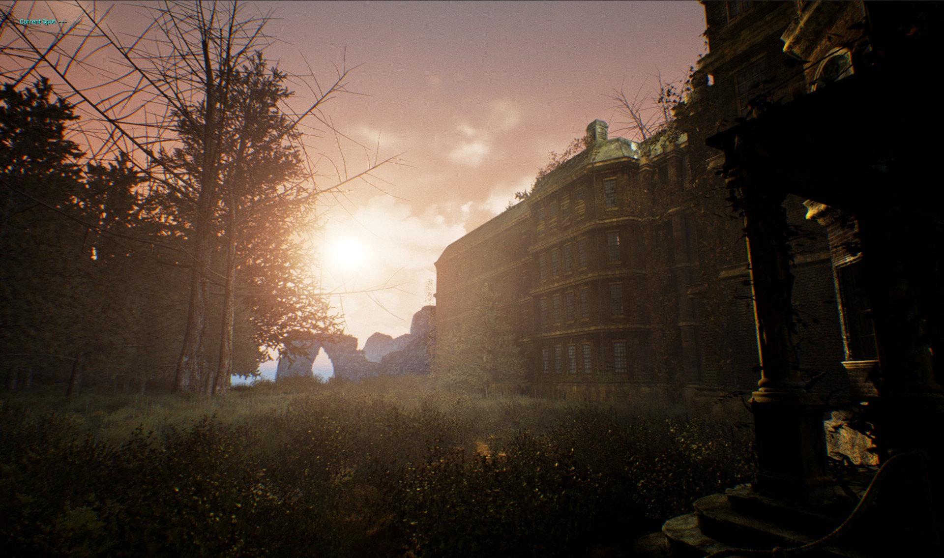 Asylum Horror Desktop