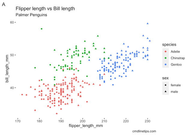 8 tips to use element_blank() in ggplot2 theme - Python and R Tips