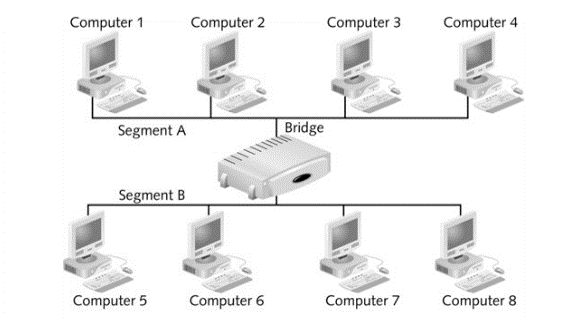 CodeForest | Network Hardware Components