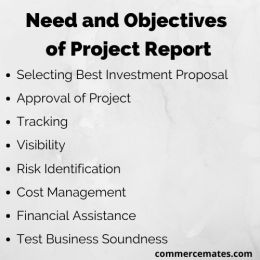 Project Report Meaning Characteristics Need Objectives