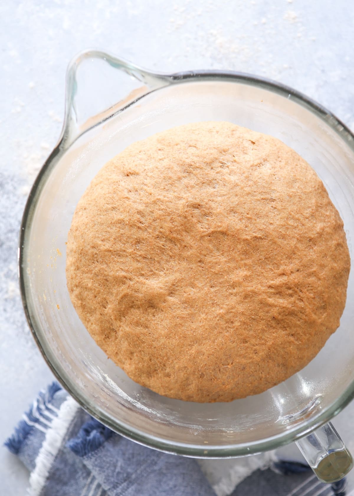 100% Whole Wheat Bread - Completely Delicious