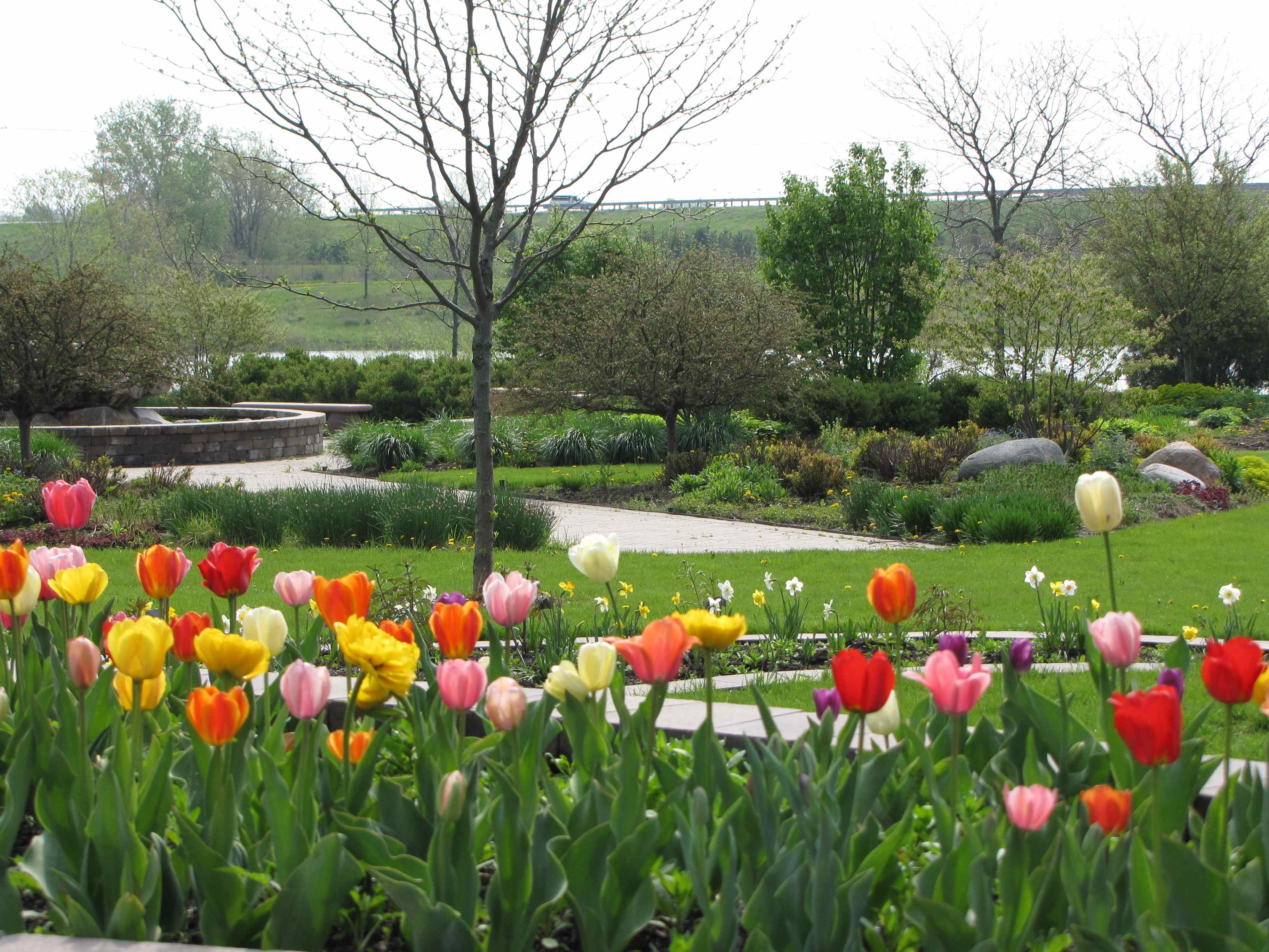 Garden and Plant List – Congdon Gardens