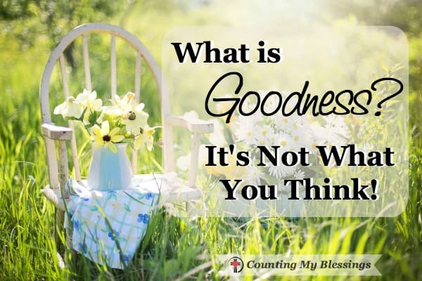What Is Goodness It s Not What You Think Counting My Blessings what-is-goodness-it-s-not-what-you-think-counting-my-blessings