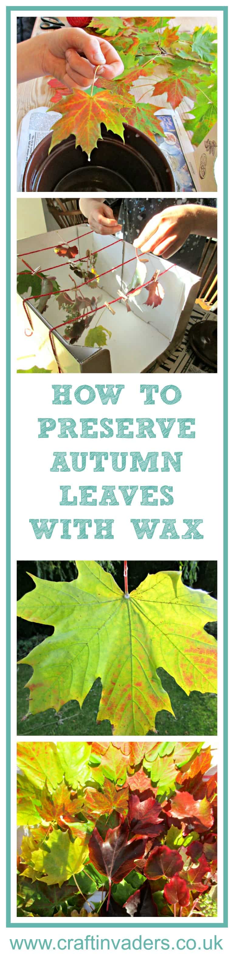 Craft Invaders Preserving Leaves In Wax Craft Invaders craft-invaders-preserving-leaves-in-wax-craft-invaders
