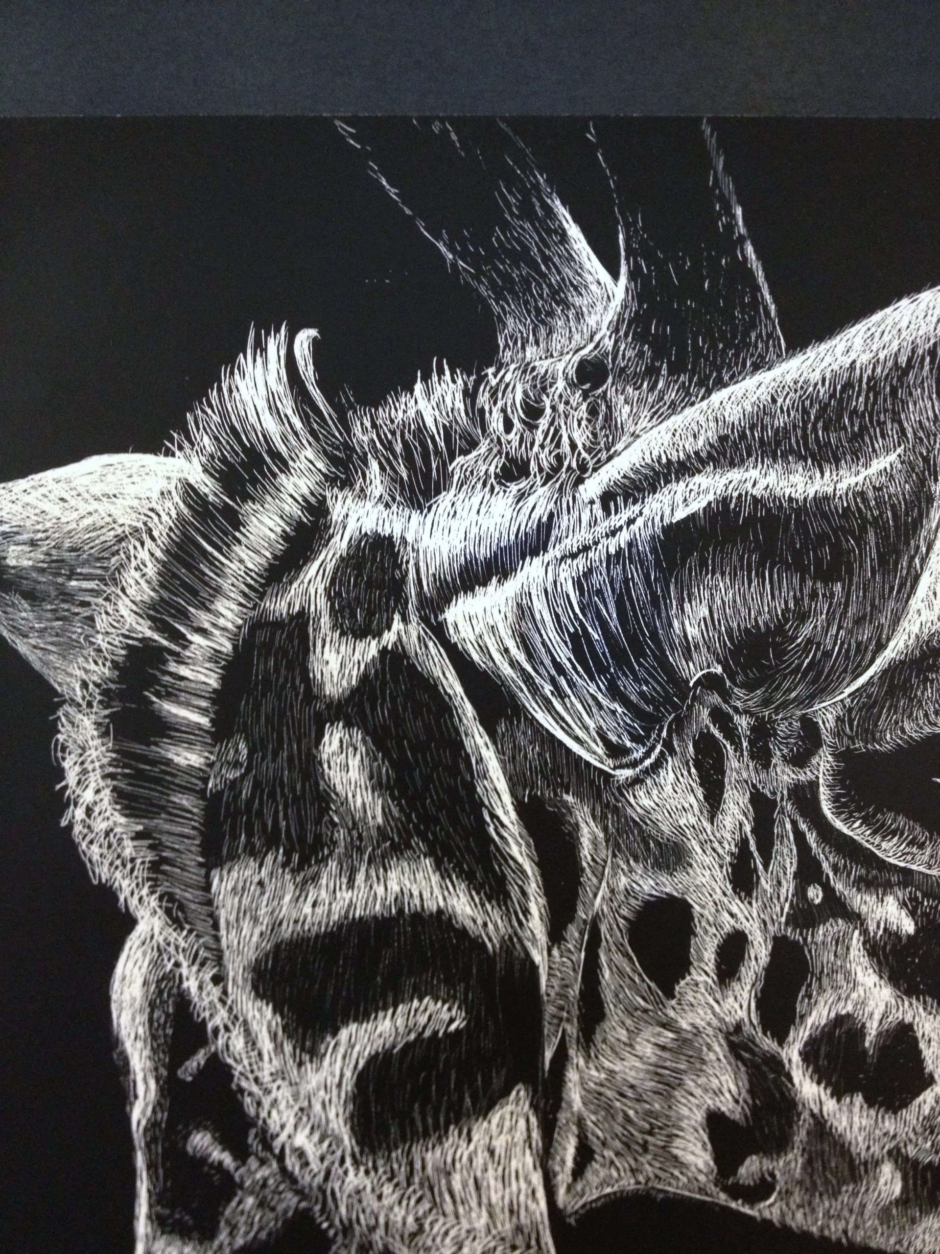 ScratchBoard 13 HS Scratch Art Lesson Scratch Board Value Through Line scratchboard-13-hs-scratch-art-lesson-scratch-board-value-through-line