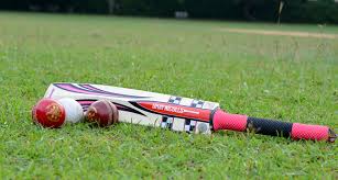 AGDAV School Cricket Academy | CricketGraph