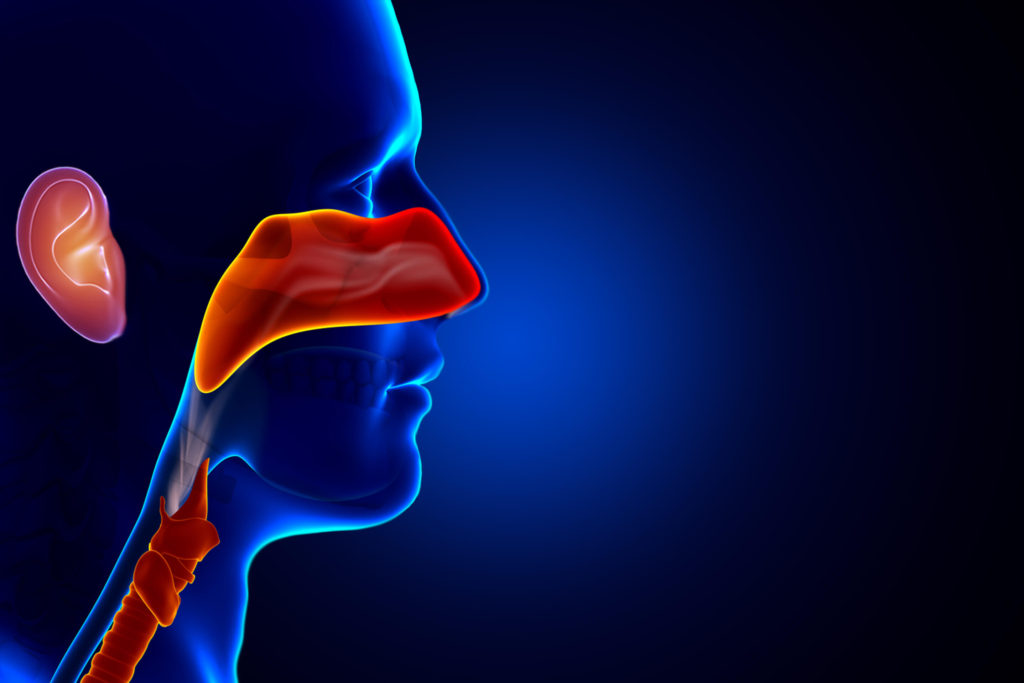 Nose and sinus disease - Critical Care Collaborative