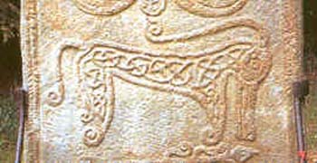 MAMLAMBO: (SOUTH AFRICA) | Cryptopia - Exploring The Hidden World