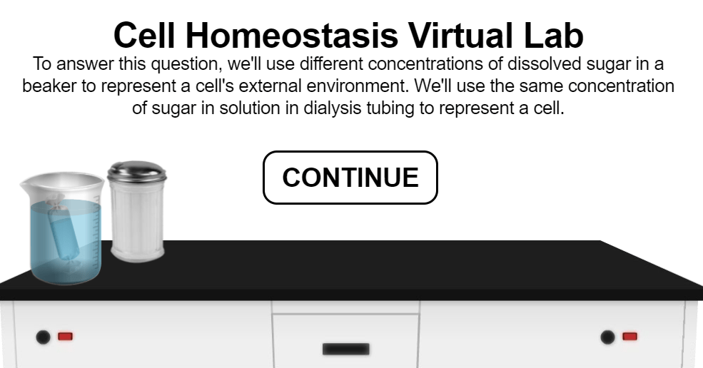 Cell Homeostasis Virtual Lab 1 Pdf Name Cell Homeosta - vrogue.co Cell Homeostasis Virtual Lab 1 Pdf Name Cell Homeosta - vrogue.co