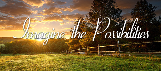 Possibility Alliance: Imagine The Possibility Handbook - Daddykirbs Farm