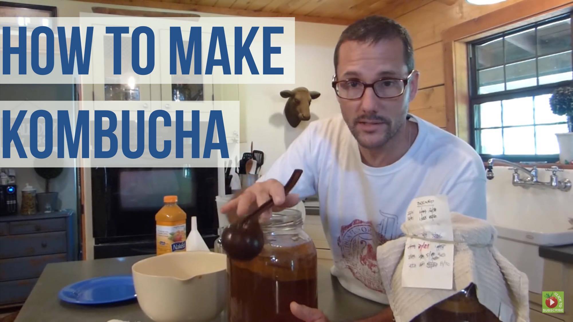 Make Kombucha - A How To Guide - Daddykirbs Farm