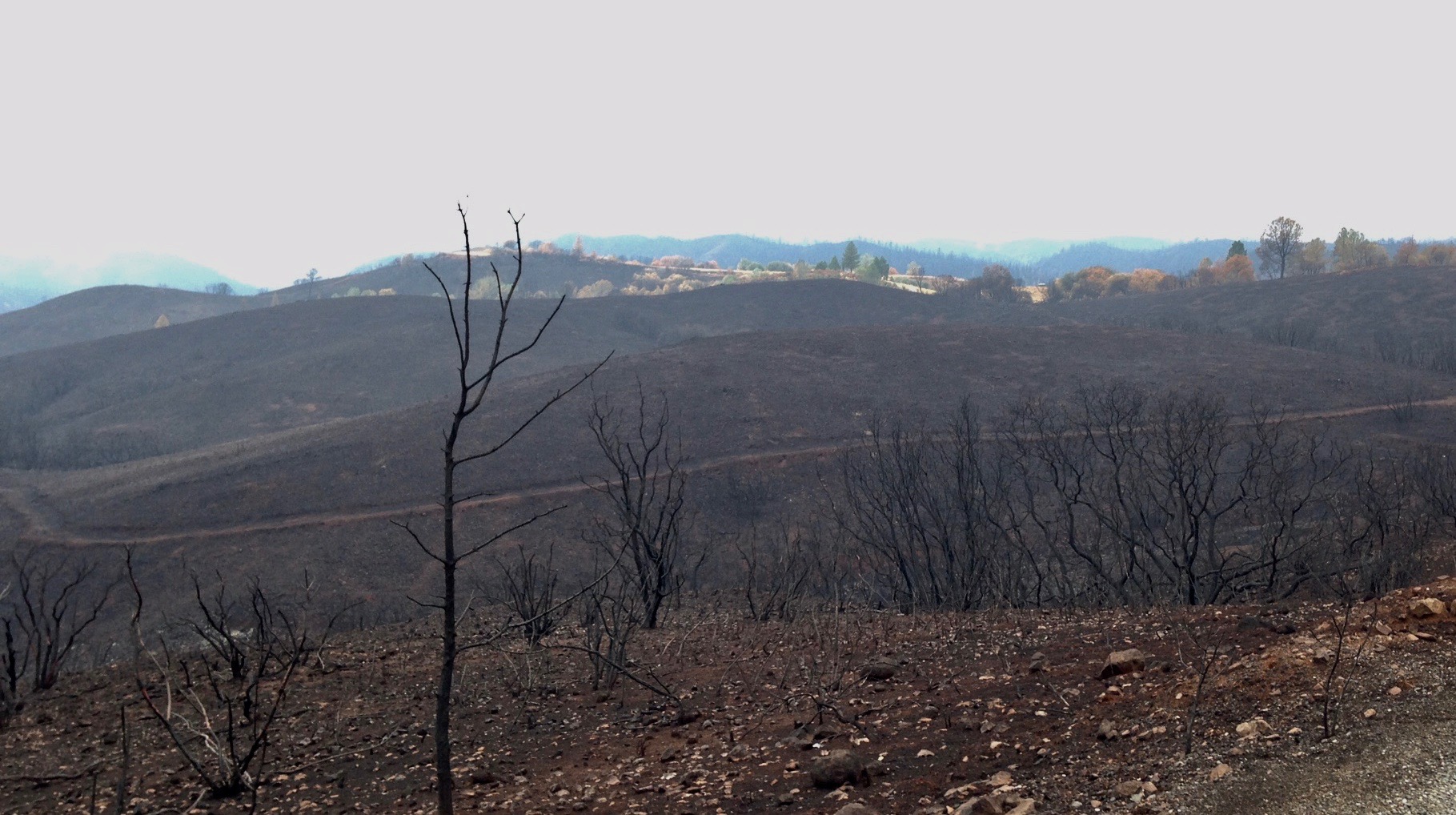 Opinion: One More Way Rural and Urban Areas Are Connected -- Wildfire ...