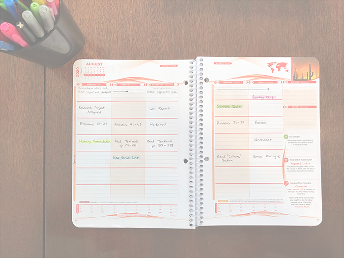 Tips for Getting the Most Out of Your Lesson Plans