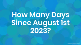 How Many Days Until August 4 2023 X2023C
