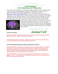 Cells Alive Worksheet Answer Key Pdf