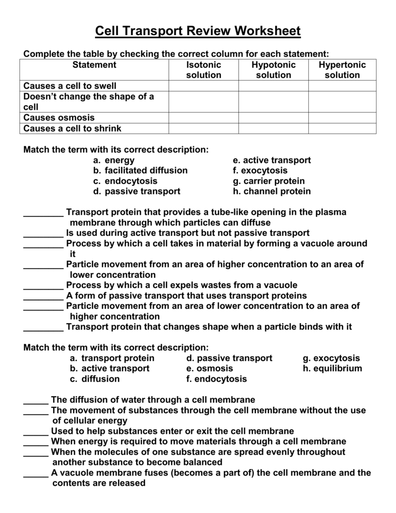Cell Transport Review Worksheet Quizlet Athens Mutual Student Corner cell-transport-review-worksheet-quizlet-athens-mutual-student-corner