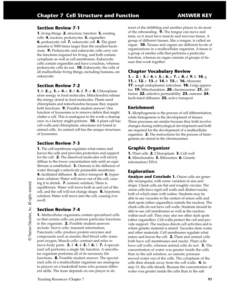 7 Cell Structure And Function Answer Key 7-cell-structure-and-function-answer-key
