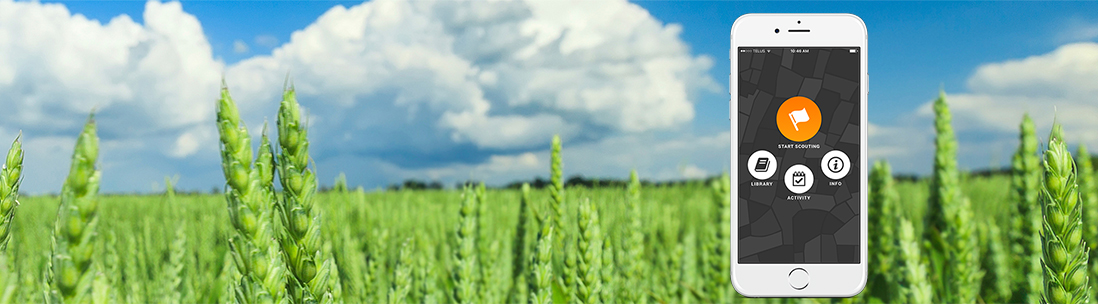 Capture Premiums on Grain with Improved Inventory Management on the ...