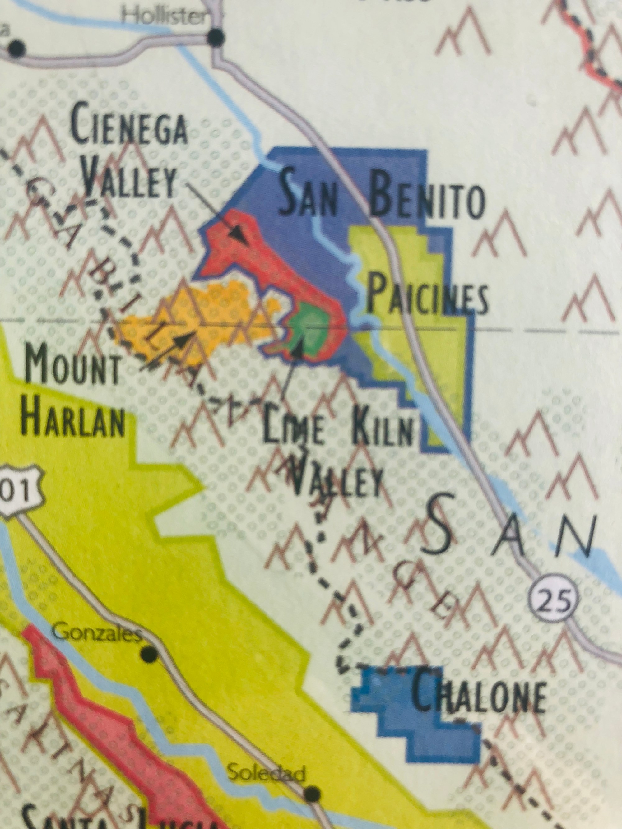 CENTRAL COAST NORTH Wine - Demystifying "The Vine"