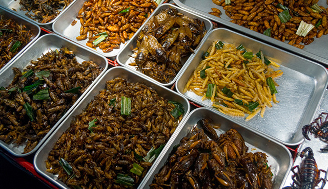10 Interesting Facts about Insects as Food for People