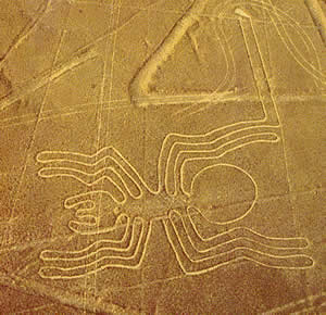 LE LINEE DI NAZCA – 5S: Il Blog